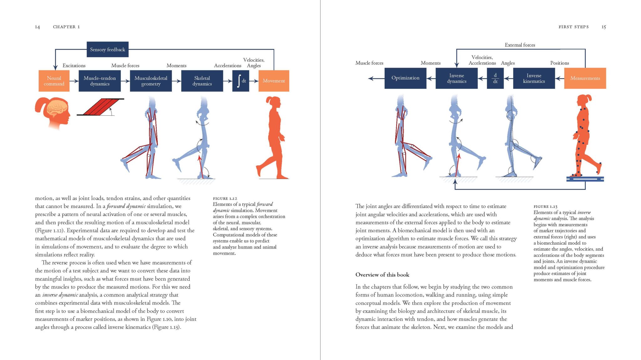 Biomechanics of Movement – By Thomas K. Uchida and Scott L. Delp